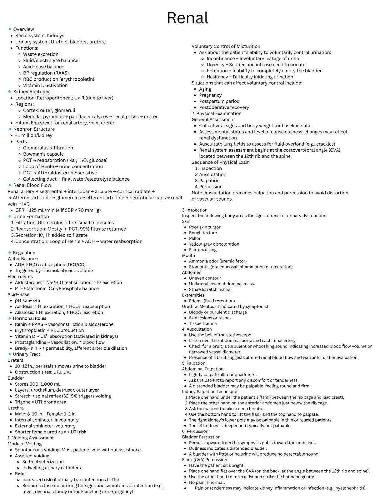 Renal System Overview: Anatomy, Functions, and Clinical Assessments ...