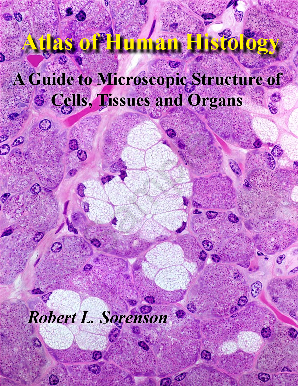 Atlas of Human Histology: Guide to Microscopic Tissue Structure - Studocu