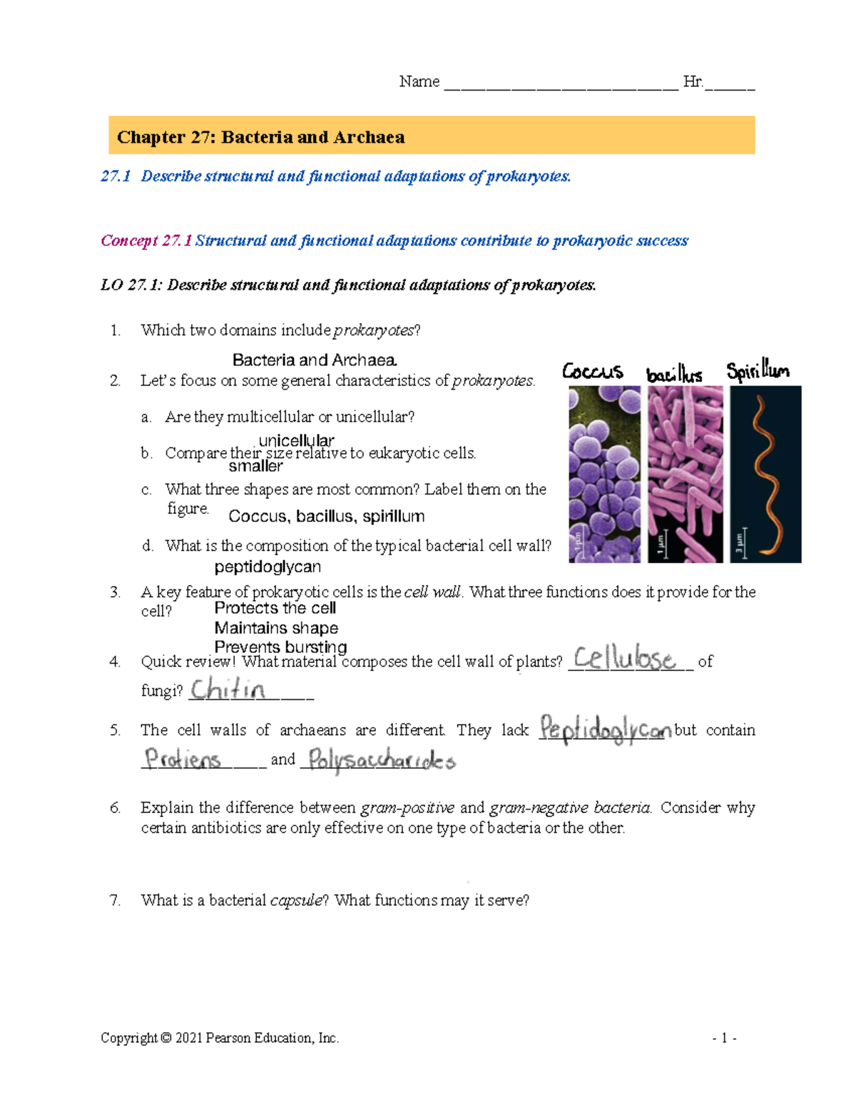 Chapter 27: Bacteria and Archaea - Prokaryotic Adaptations and ...