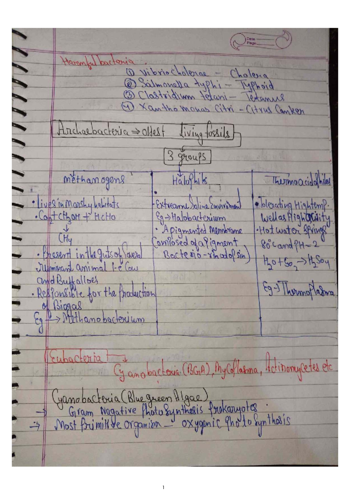 Microbial Diversity: Bacteria, Archaebacteria & Protista Overview ...