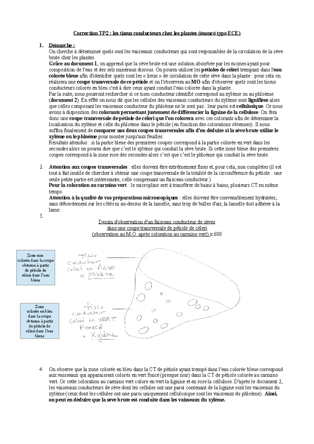 Correction TP2 ECE : Tissus Conducteurs et Circulation de la Sève - Studocu