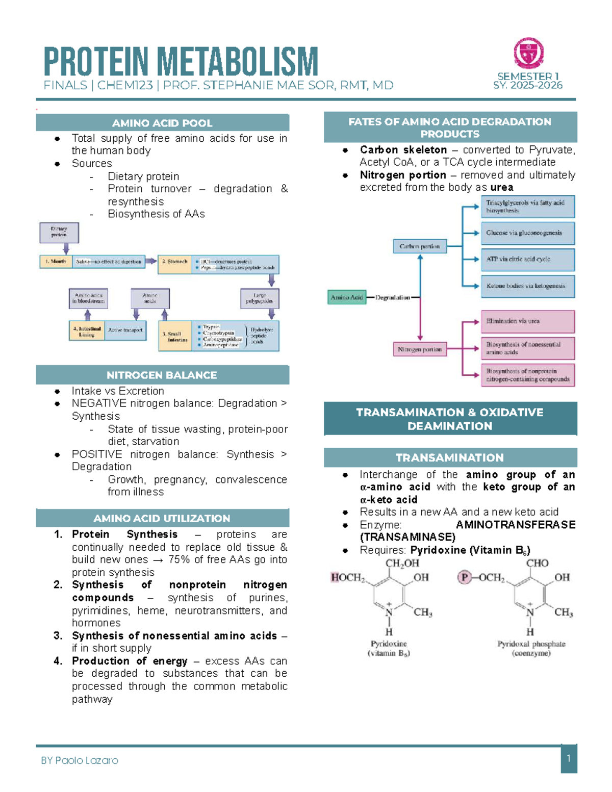 Protein Metabolism - Biochemistry Lecture Notes CHEM123 Final Exam ...