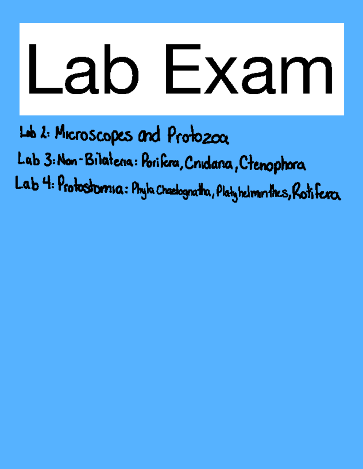 Lab Exam 1 Study Notes: Microscopes & Protozoa Overview - Studocu