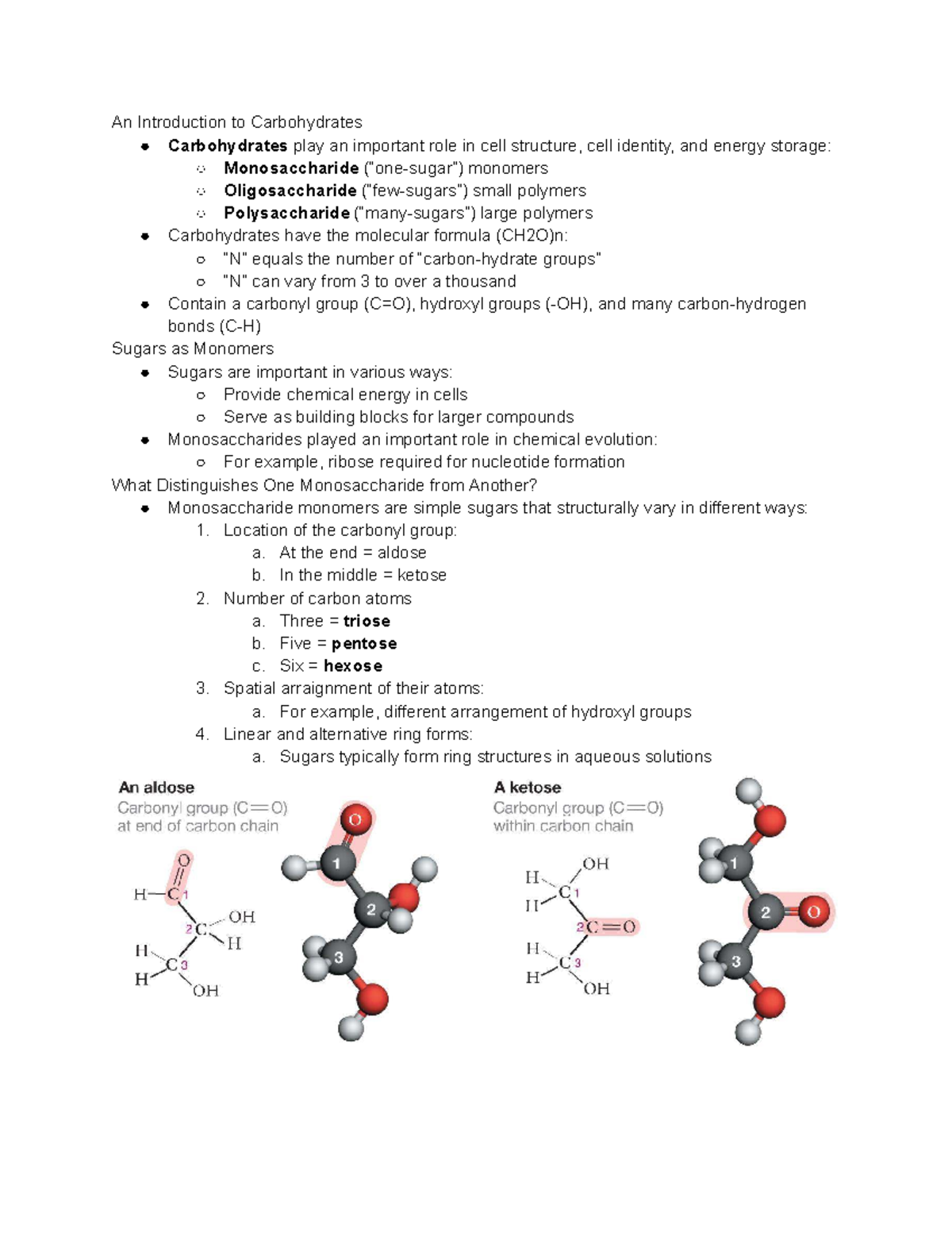 Biology 101 Chapter 5: Structure & Function of Carbohydrates - Studocu