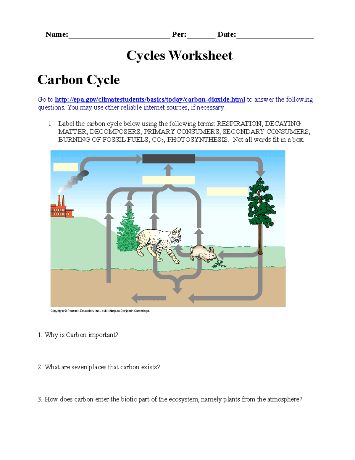 Cycles Worksheet: Carbon, Water, & Nitrogen Cycles (Science 101) - Studocu