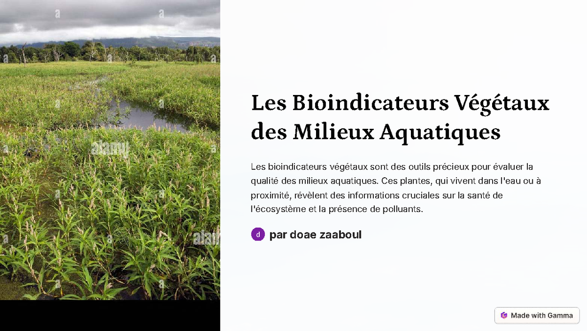Bioindicateurs Végétaux des Milieux Aquatiques : Évaluation et ...
