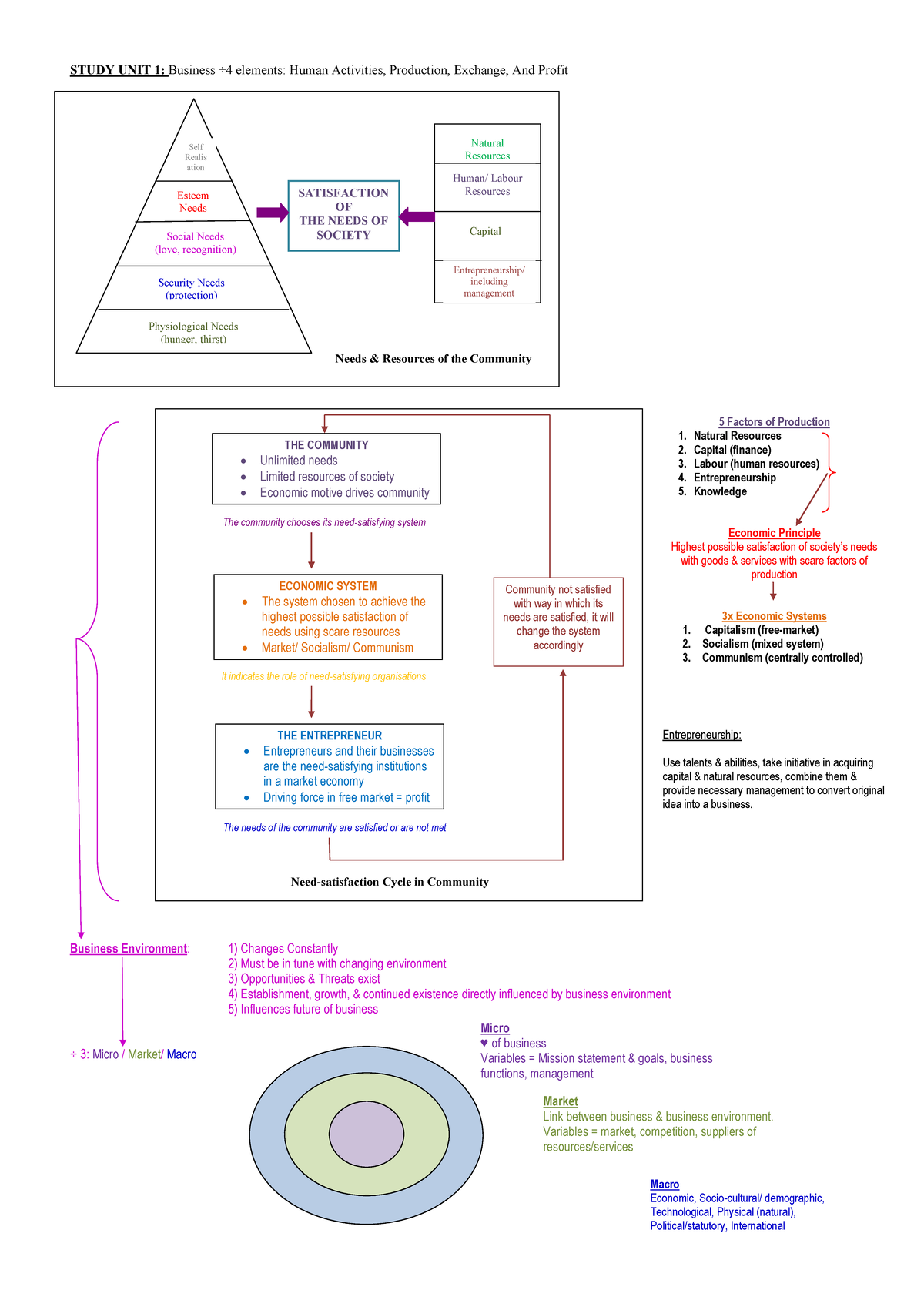 MNB1601: Business Elements and Economic Systems Overview - Studocu