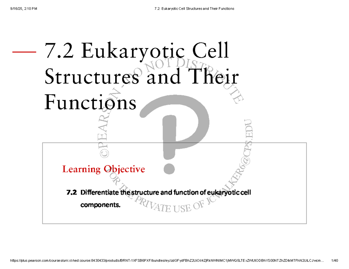 7.2: Eukaryotic Cell Structures and Their Functions - Comprehensive Overview - Studocu