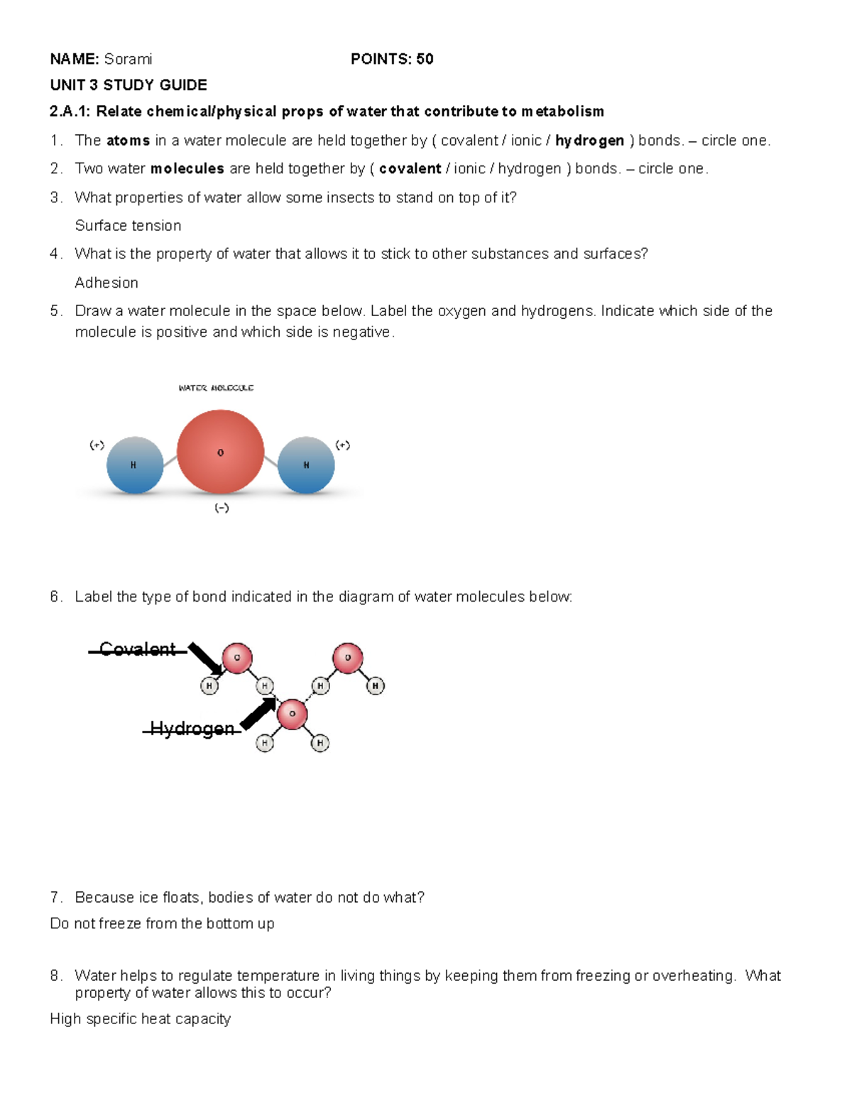 Unit 3 Study Guide: Properties of Water and Macromolecules in Biology ...