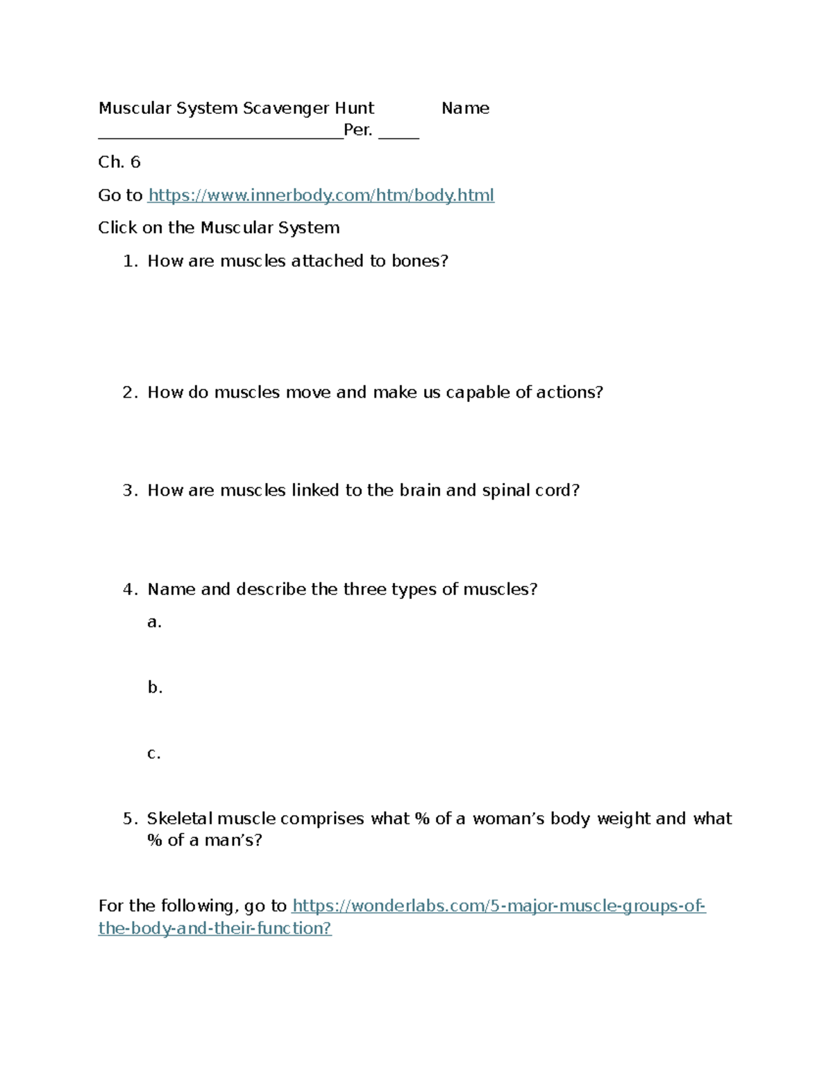 Muscular System Scavenger Hunt - Ch. 6 Overview and Questions - Studocu