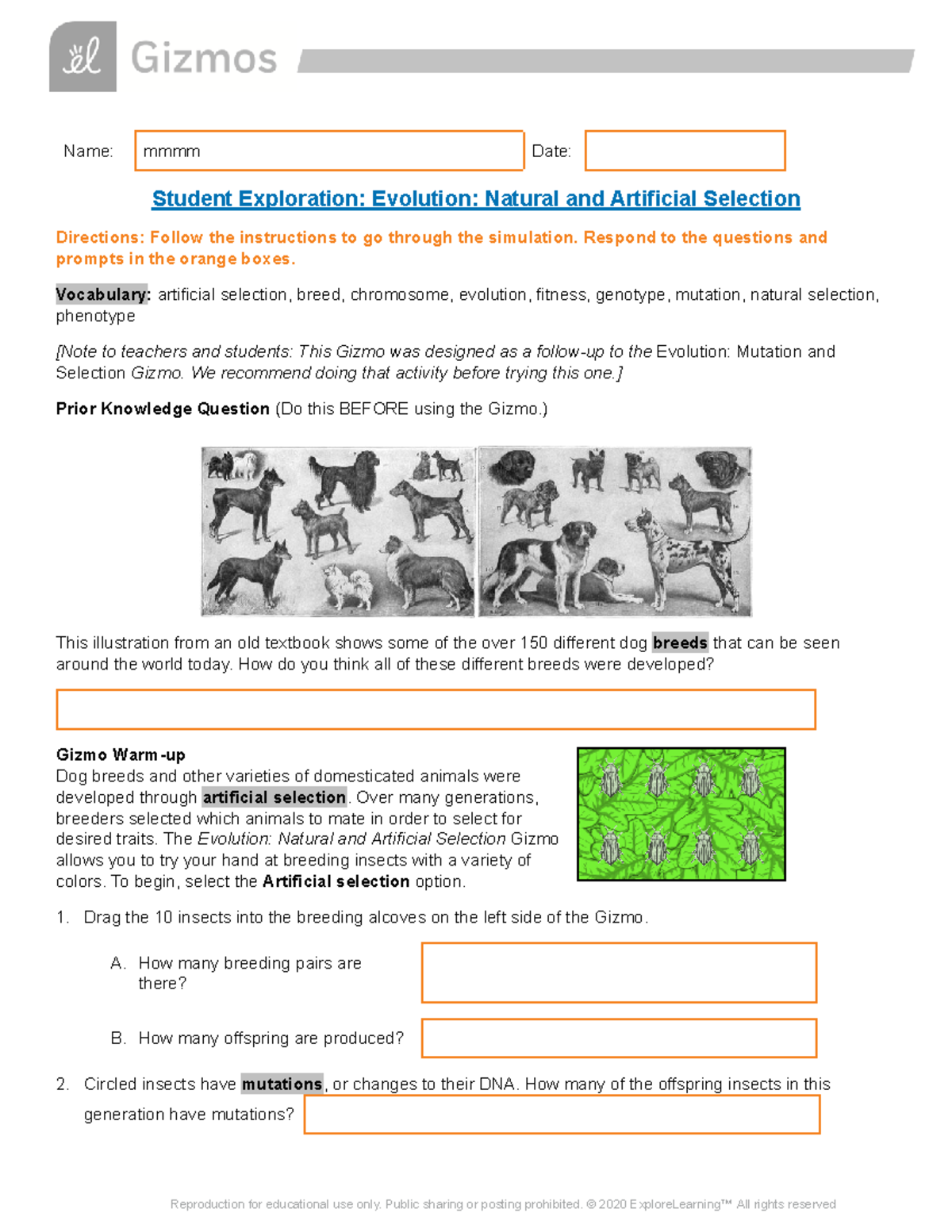 Copy of Evolution Natural Artificial SE - Google Docs - Name: mmmm Date ...