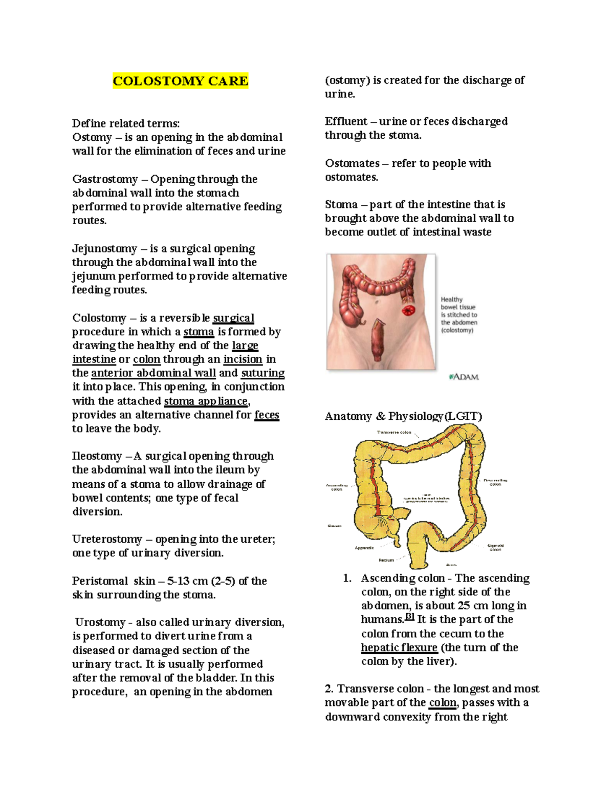 Colostomy Care: Understanding Types, Products, and Patient Education ...