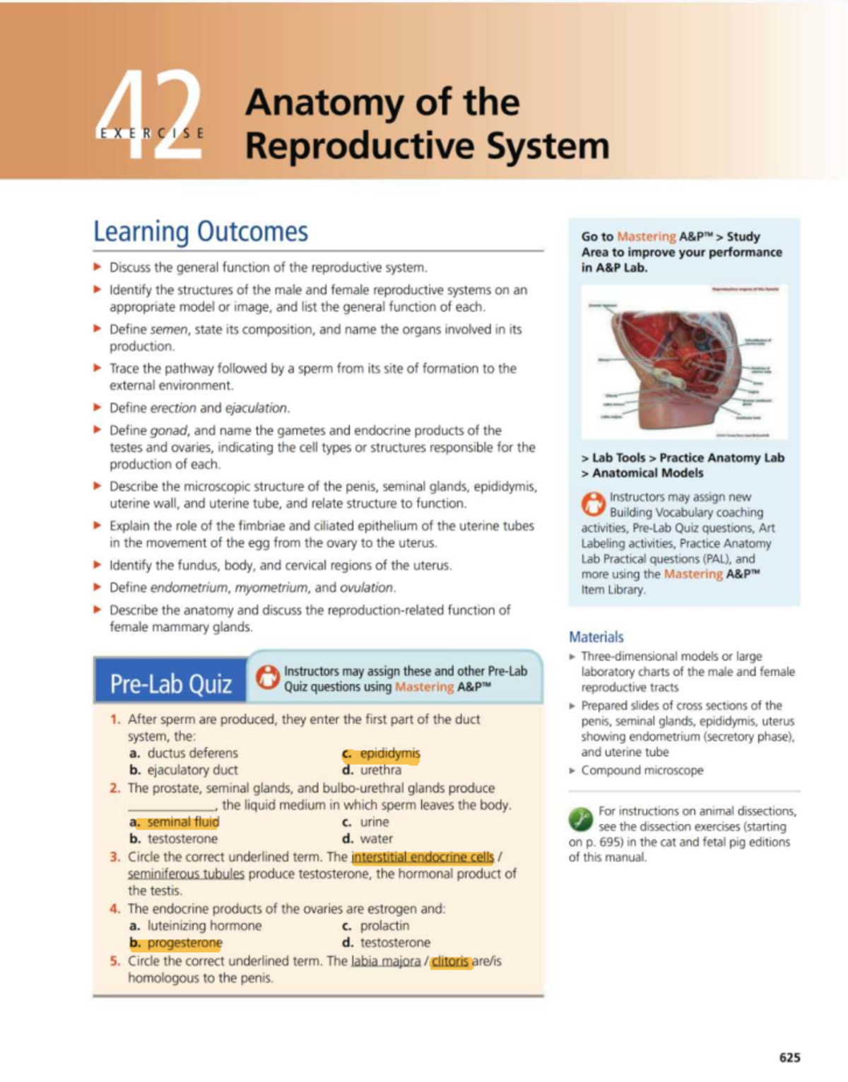 Exercise 42 Anatomy Of The Reproductive System Reproductive System