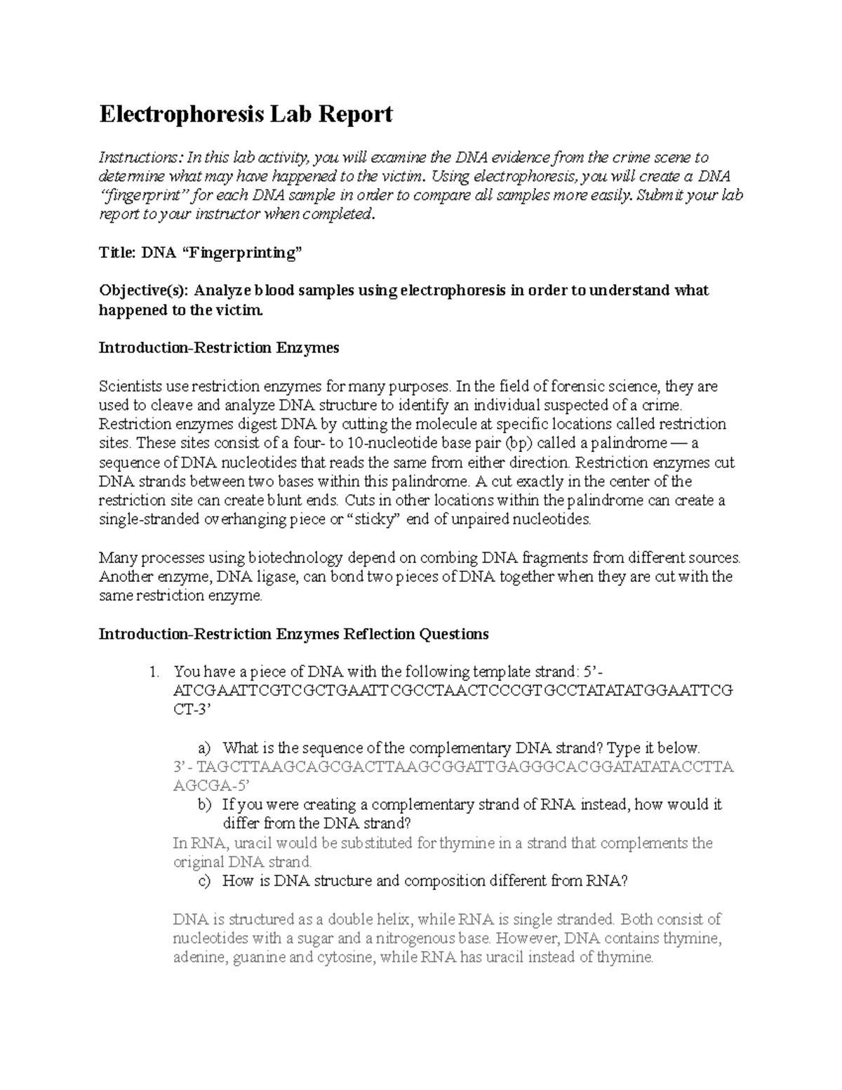 06 01 Electrophoresis DNA Fingerprinting Lab Report - Studocu