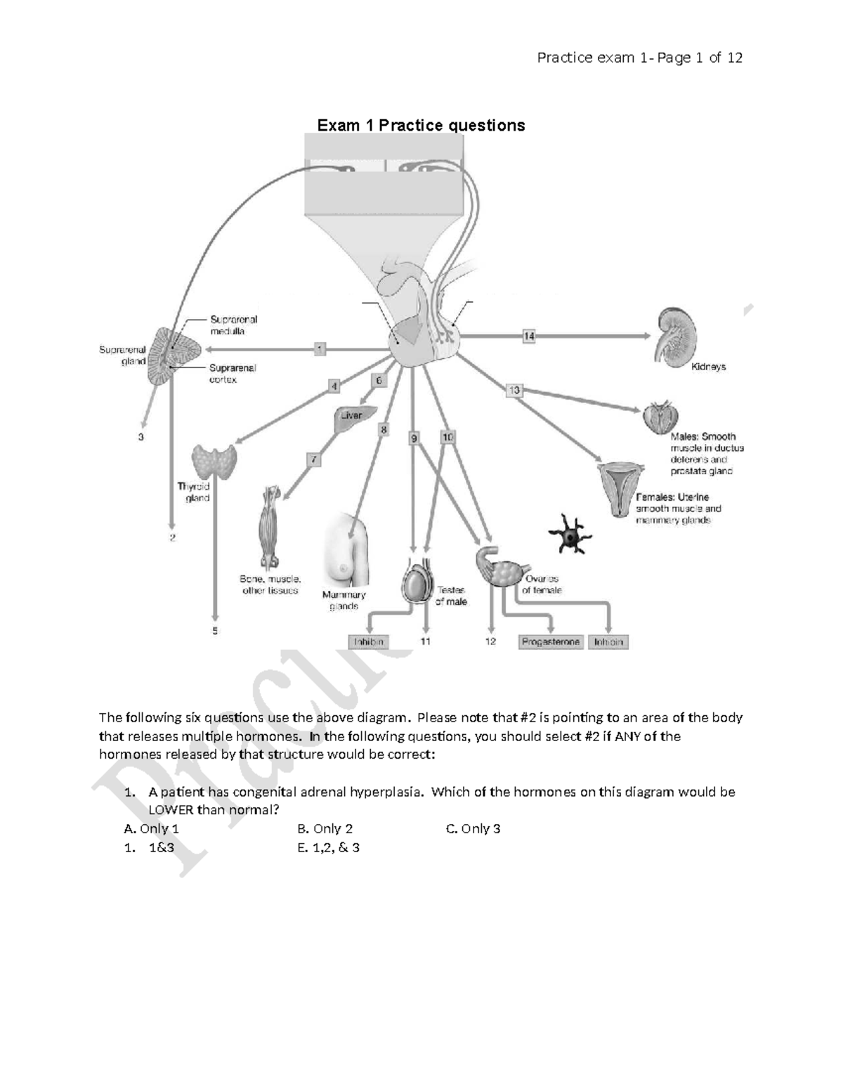Practice Exam 1: Hormones and Endocrine Functions - Studocu