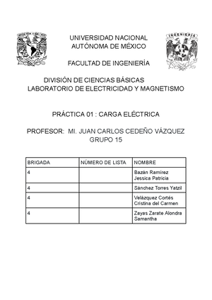 Caballero Montaño Juan Manuel Previo 10 - Laboratorio de electricidad y magnetismo - Studocu