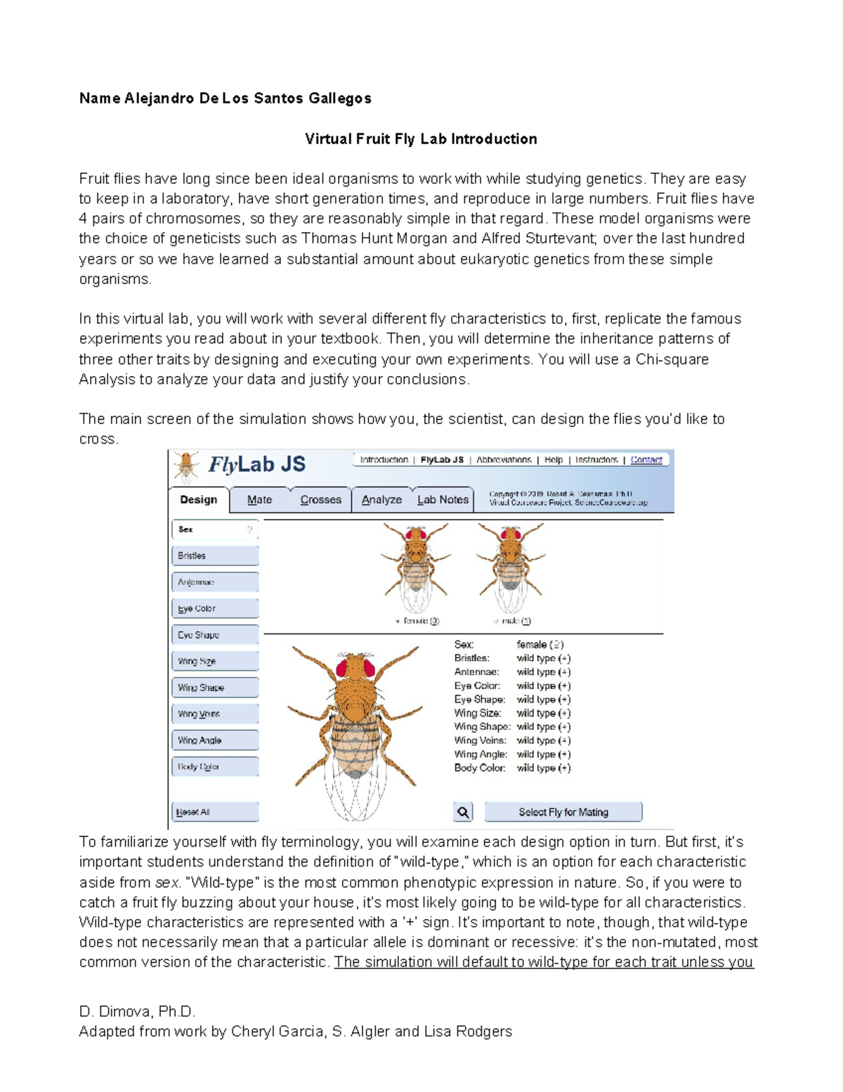 AP Biology Virtual Fruit Fly Lab Report: Genetics Exploration - Studocu