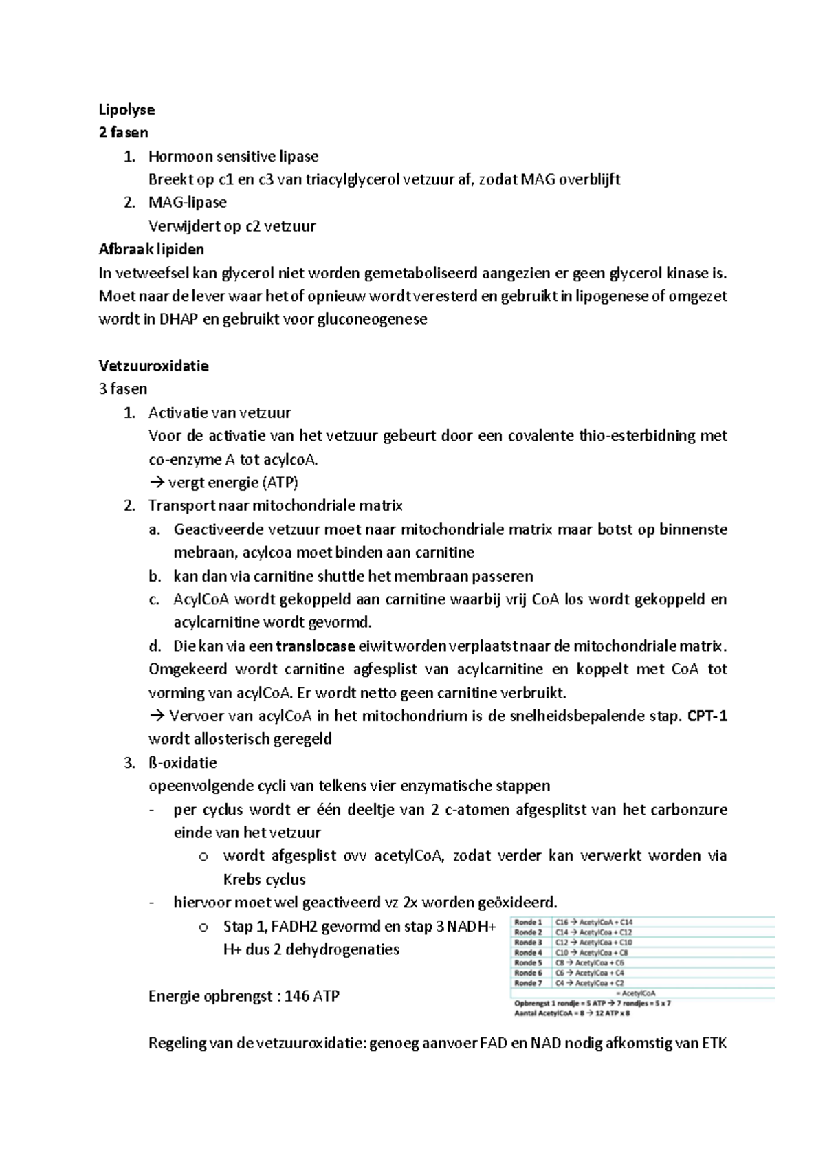 Lipolyse en Vetzuur Metabolisme: Samenvatting van Sleutelprocessen ...