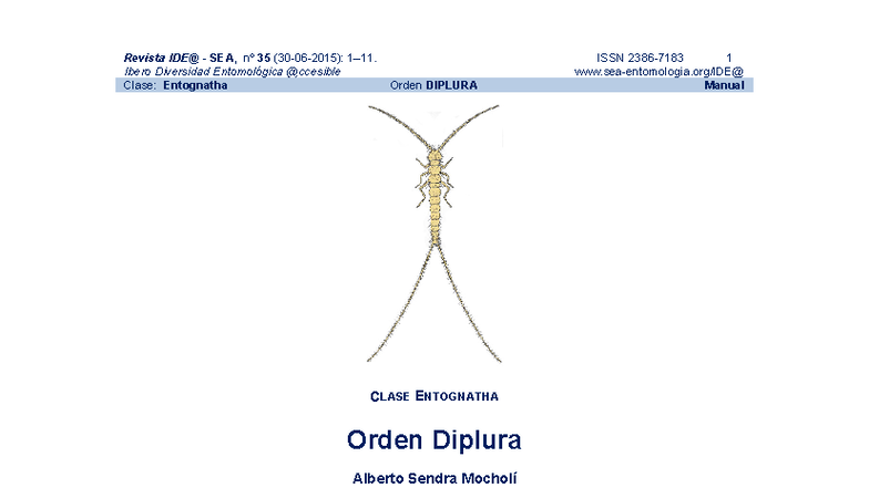 Manual de Diplura: Clase Entognatha y Orden DIPLURA (Revista SEA, nº 35 ...