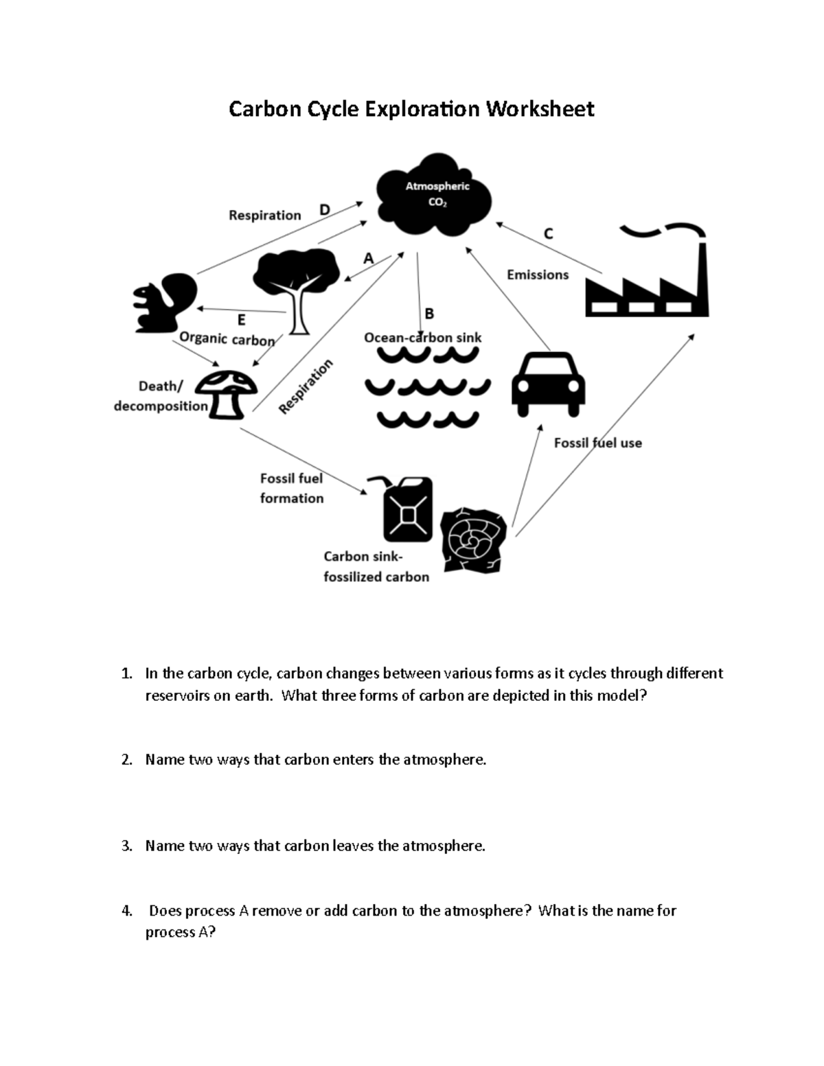 Carbon Cycle Practice Worksheet 1: Exploring Carbon Forms and Processes ...