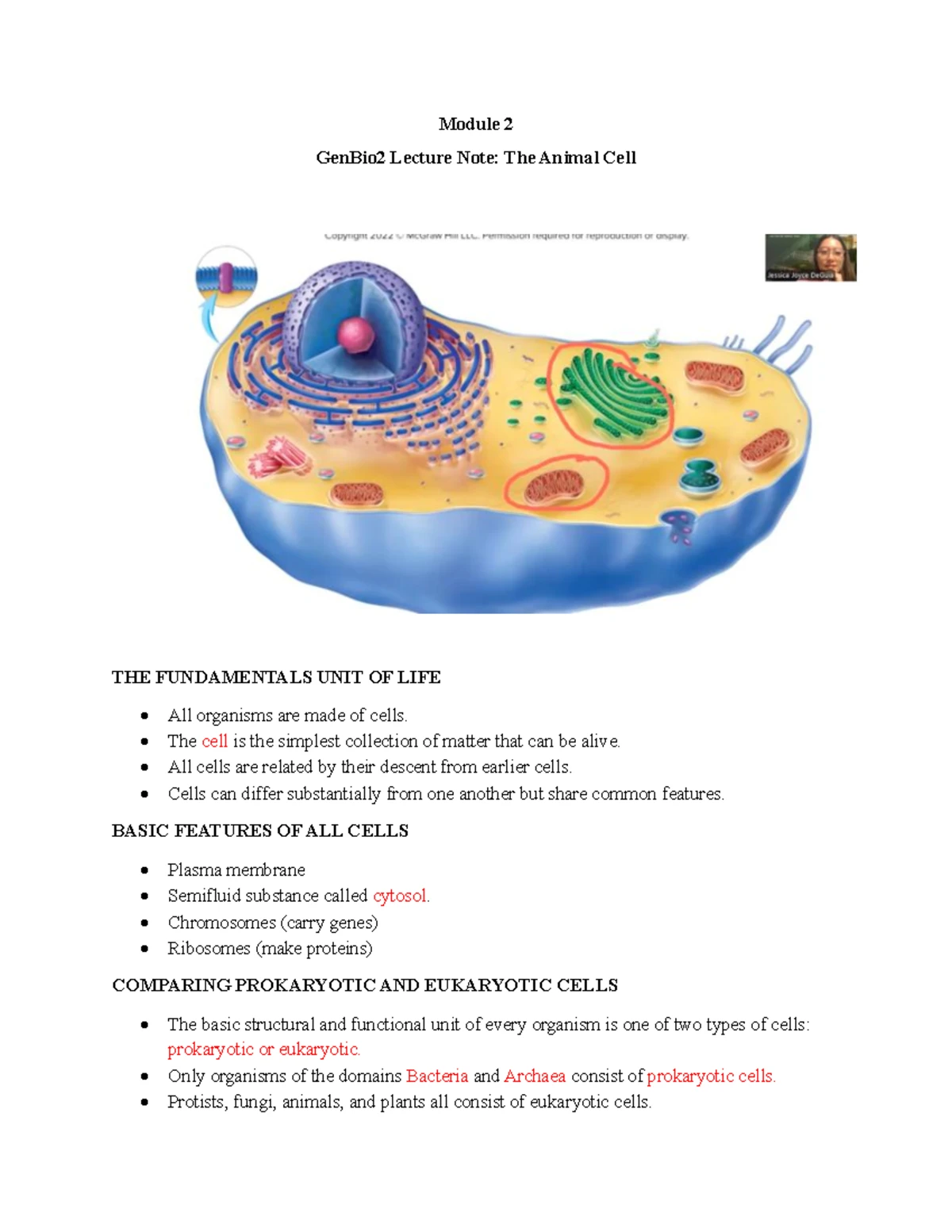 Module 7 Answer Sheet: Digestive & Respiratory Systems (GENBIO2) - Studocu