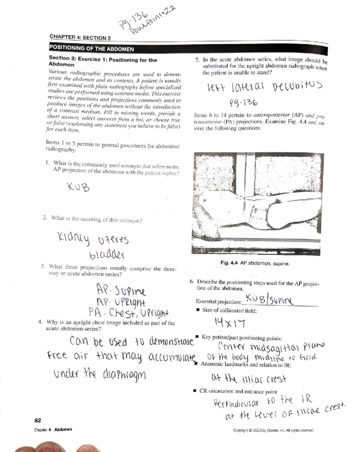 PA CHAPTER 4: SECTION 2 - POSITIONING OF THE ABDOMEN STUDY GUIDE - Studocu