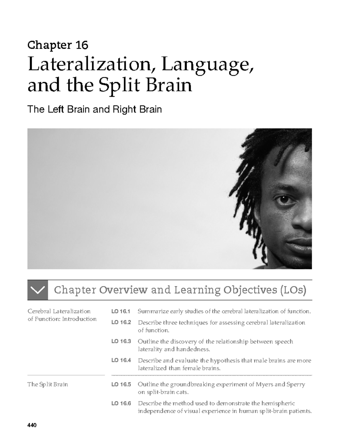 16 - Lateralization, Language, and the Split Brain: Insights and ...