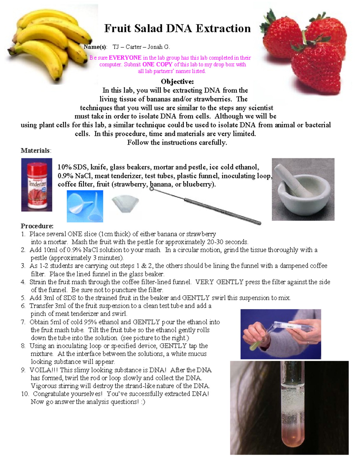 1 fruit dna lab - Fruit Salad DNA Extraction Name(s): TJ – Carter ...
