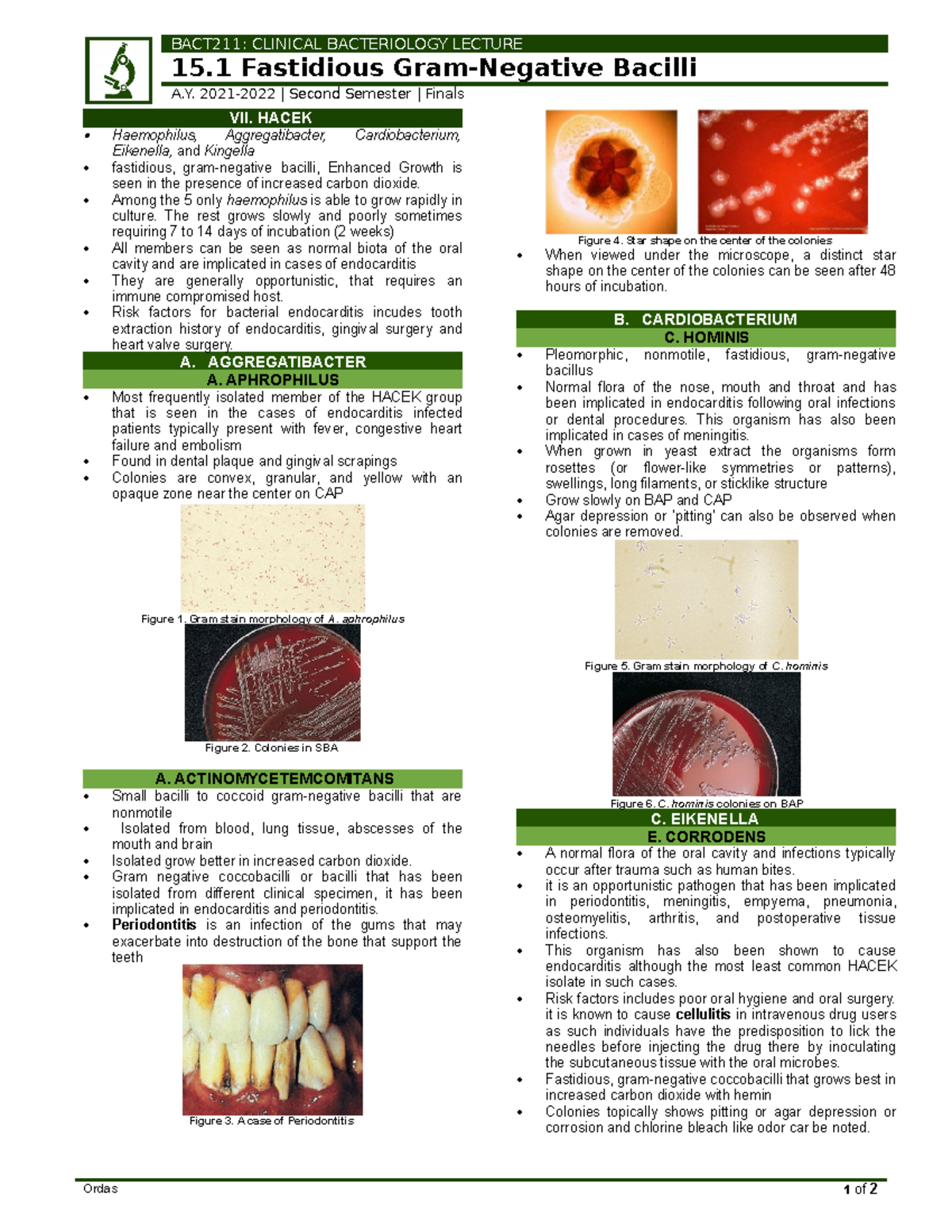 Clbact-15 - nurising aids - BACT211: CLINICAL BACTERIOLOGY LECTURE 15 ...