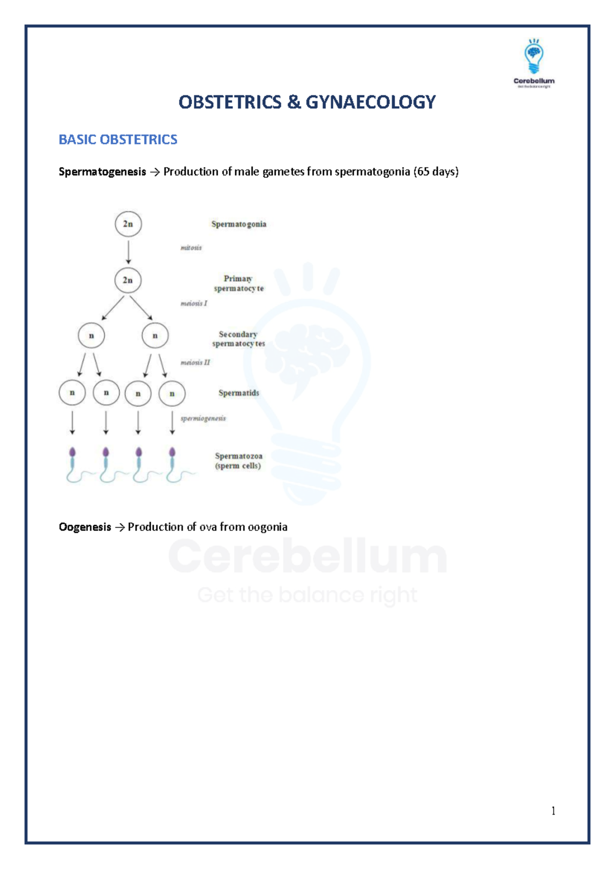 Obs Gyn - Obstetrics & Gynaecology Lecture Notes for Obgy - Studocu