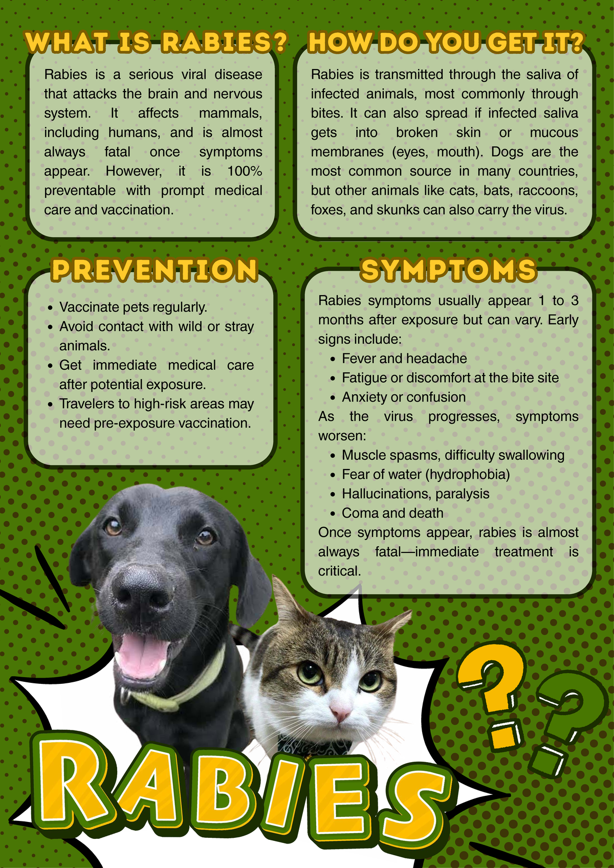 Rabies Overview: Transmission, Symptoms, and Prevention Guide - Studocu
