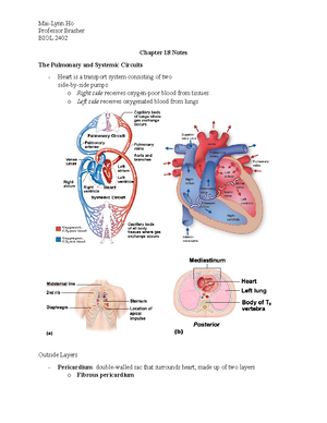 Chapter 15-Study guide - Chapter 15-Study guide Cardiovascular System ...
