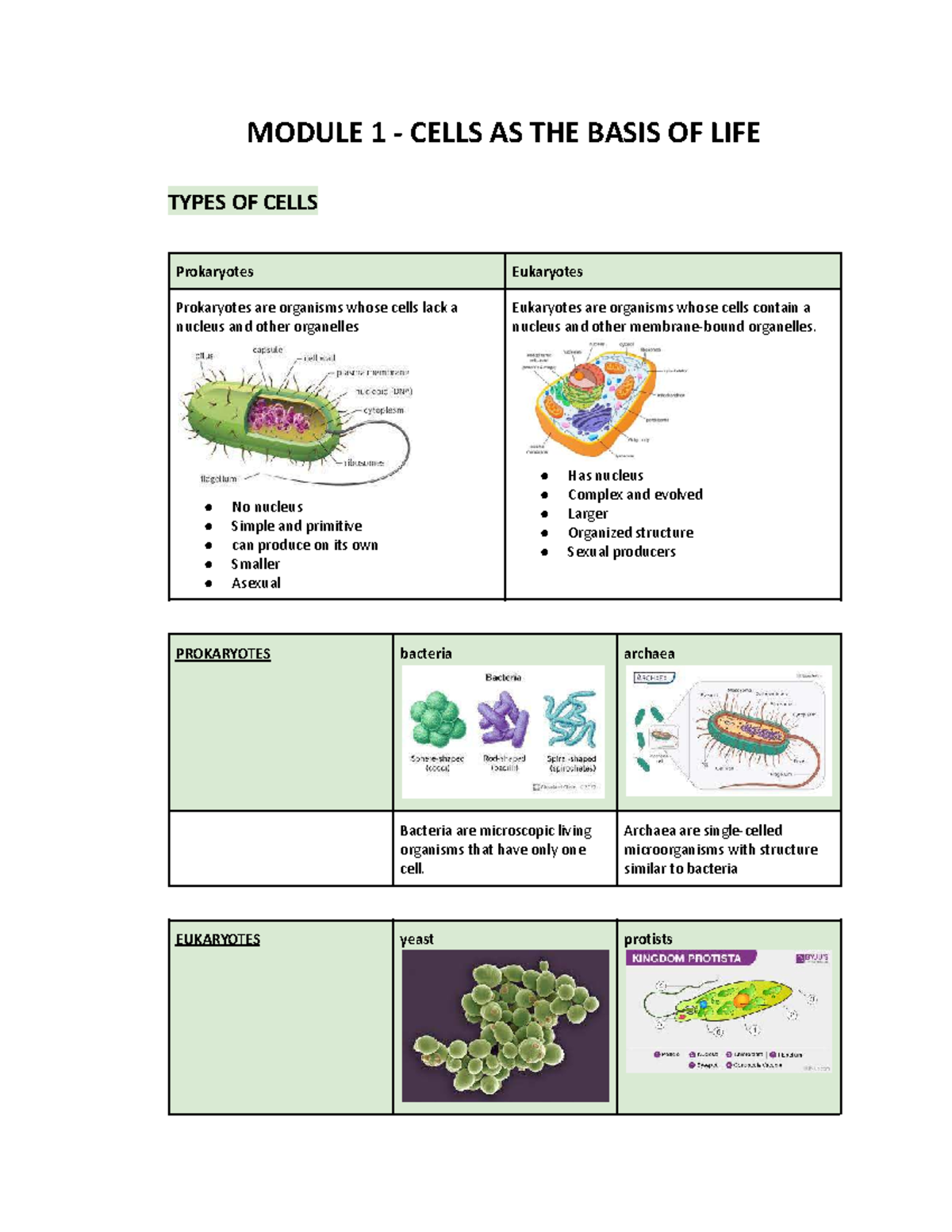 Biology Module 1: Cells as the Basis of Life and Types of Cells - Studocu