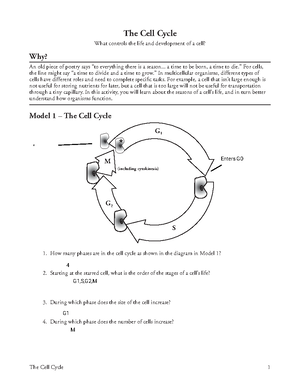 HHMI.Cell Cycle.KEY - cell cycle - THE EUKARYOTIC CELL CYCLE AND CANCER ...