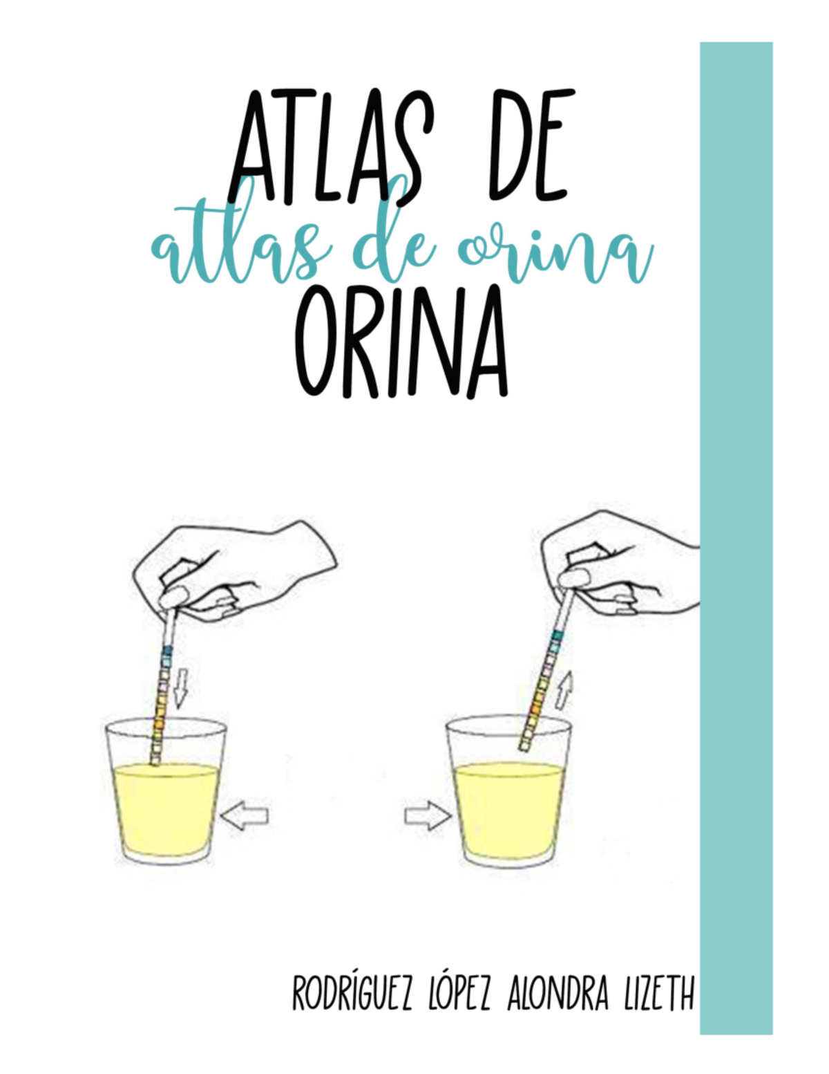 Atlas de Orina Análisis Químico Clínicos - Análisis clínicos - Warning: TT: undefined function ...