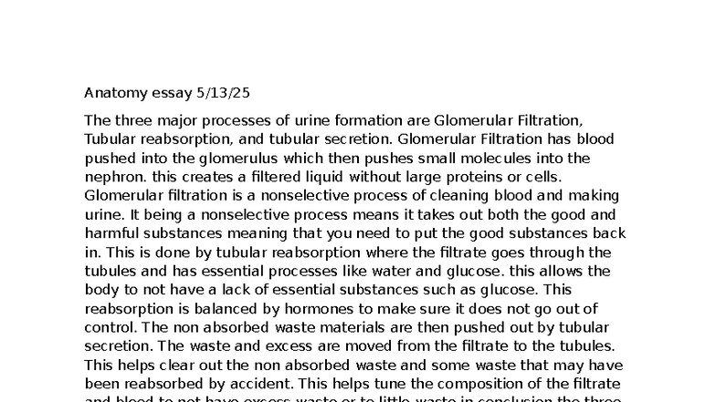 Anatomy Essay: Urine Formation Processes (51325) - Studocu