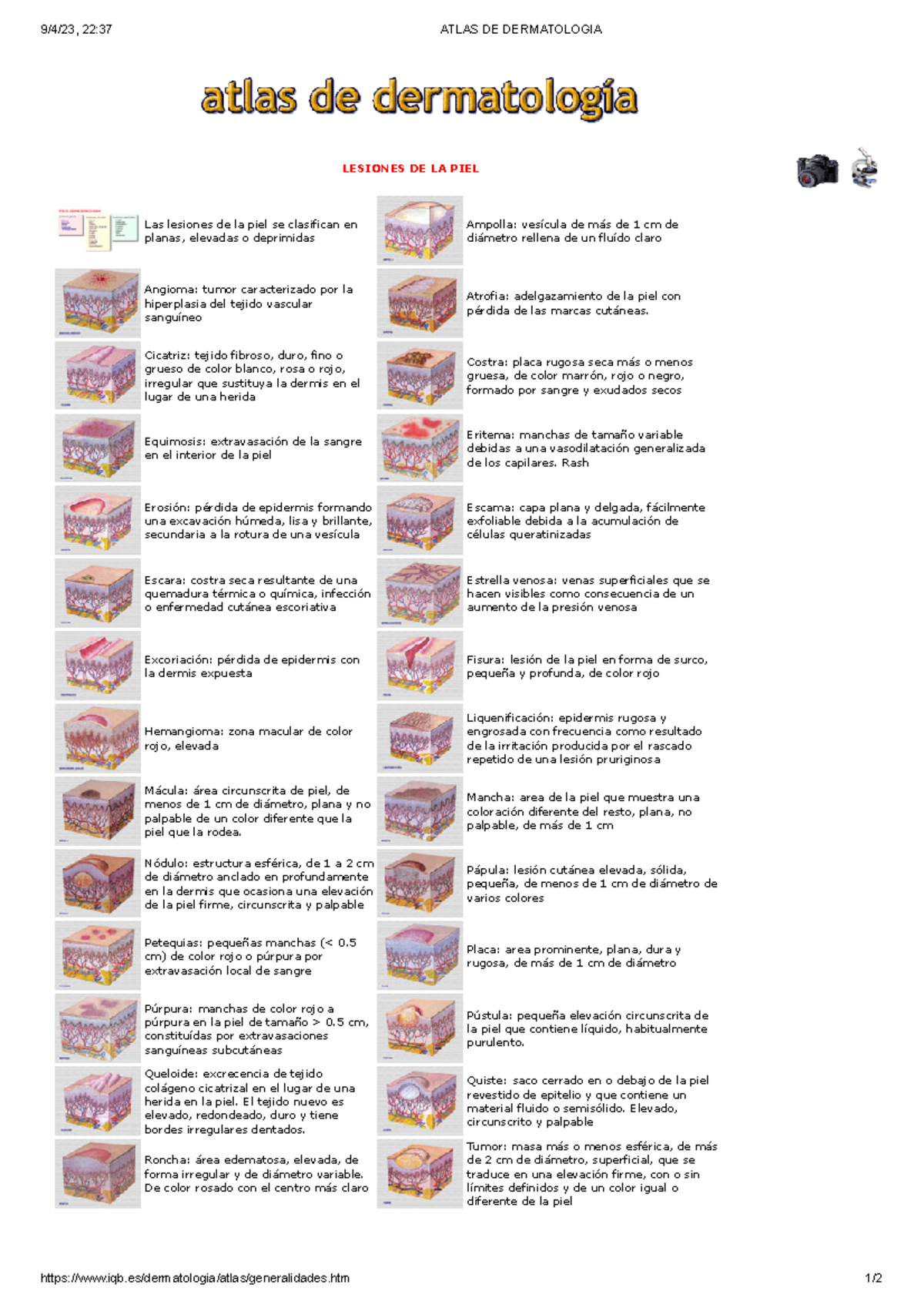 Atlas DE Dermatología: Clasificación y Tipos de Lesiones Cutáneas - Studocu