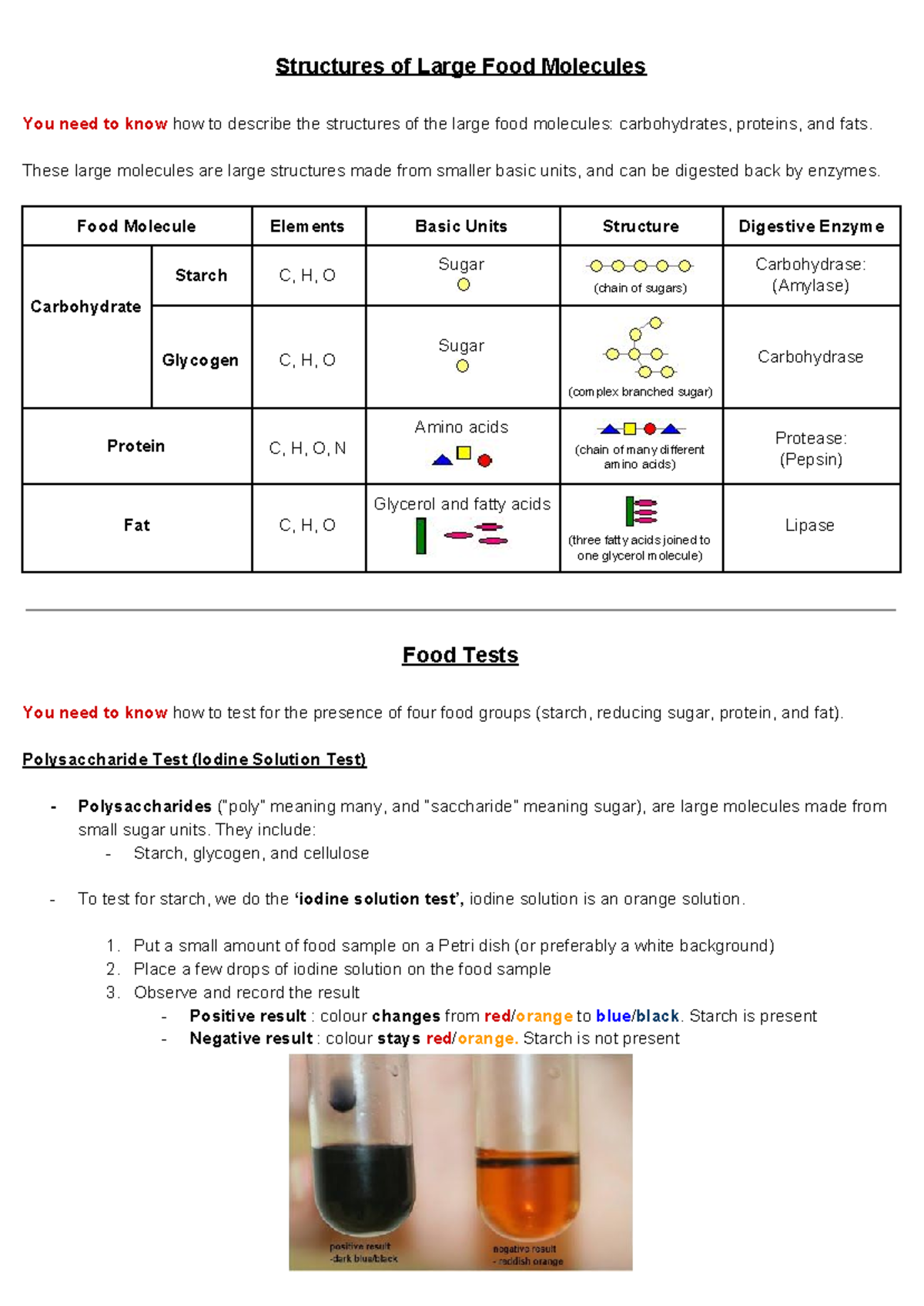 BIO 101: Structures and Tests of Large Food Molecules Explained - Studocu