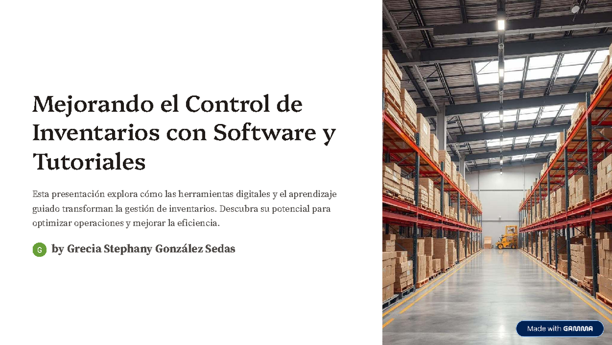 Optimización del Control de Inventarios: Software y Tutoriales ...