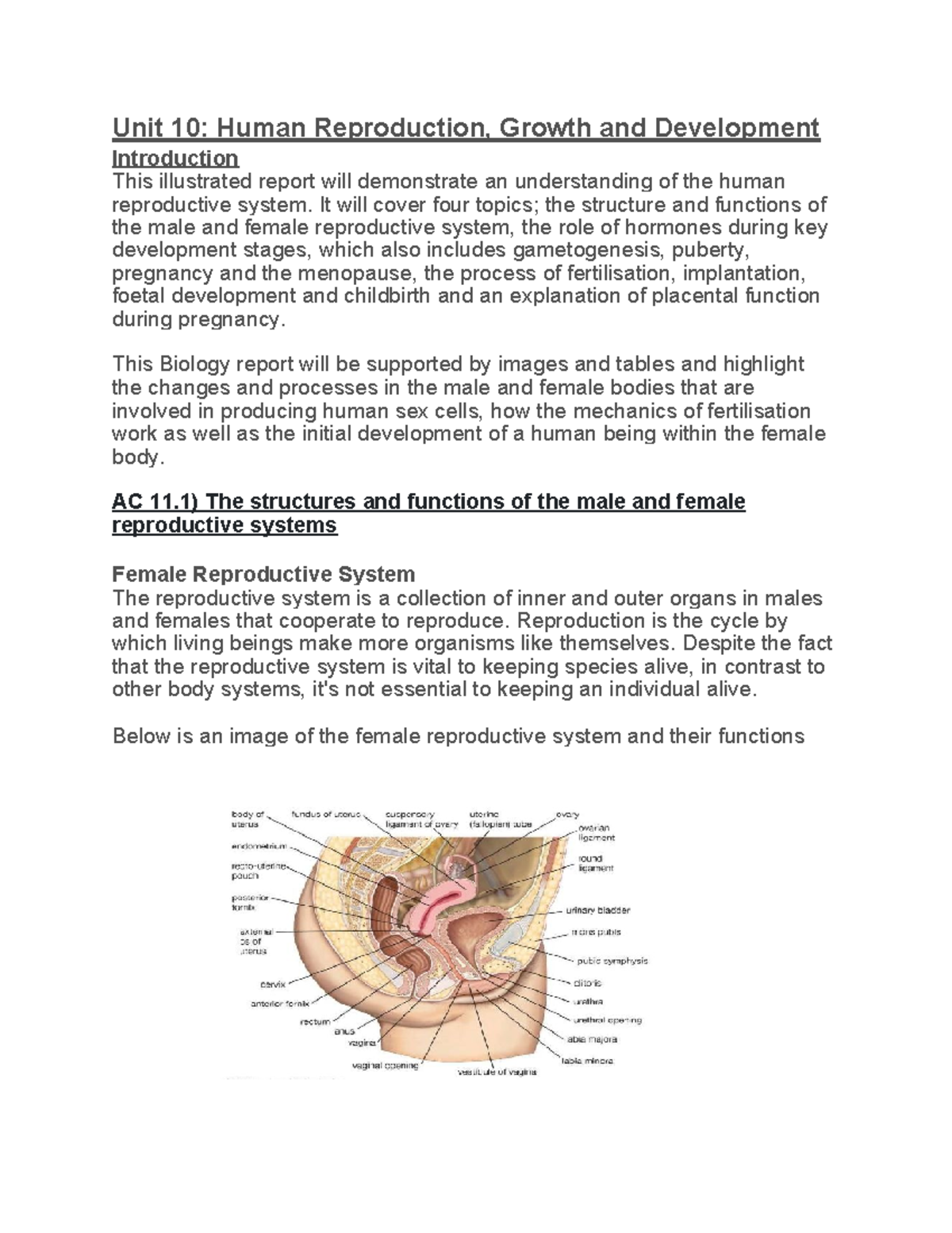 Unit10 - unit 10 - Unit 10: Human Reproduction, Growth and Development ...