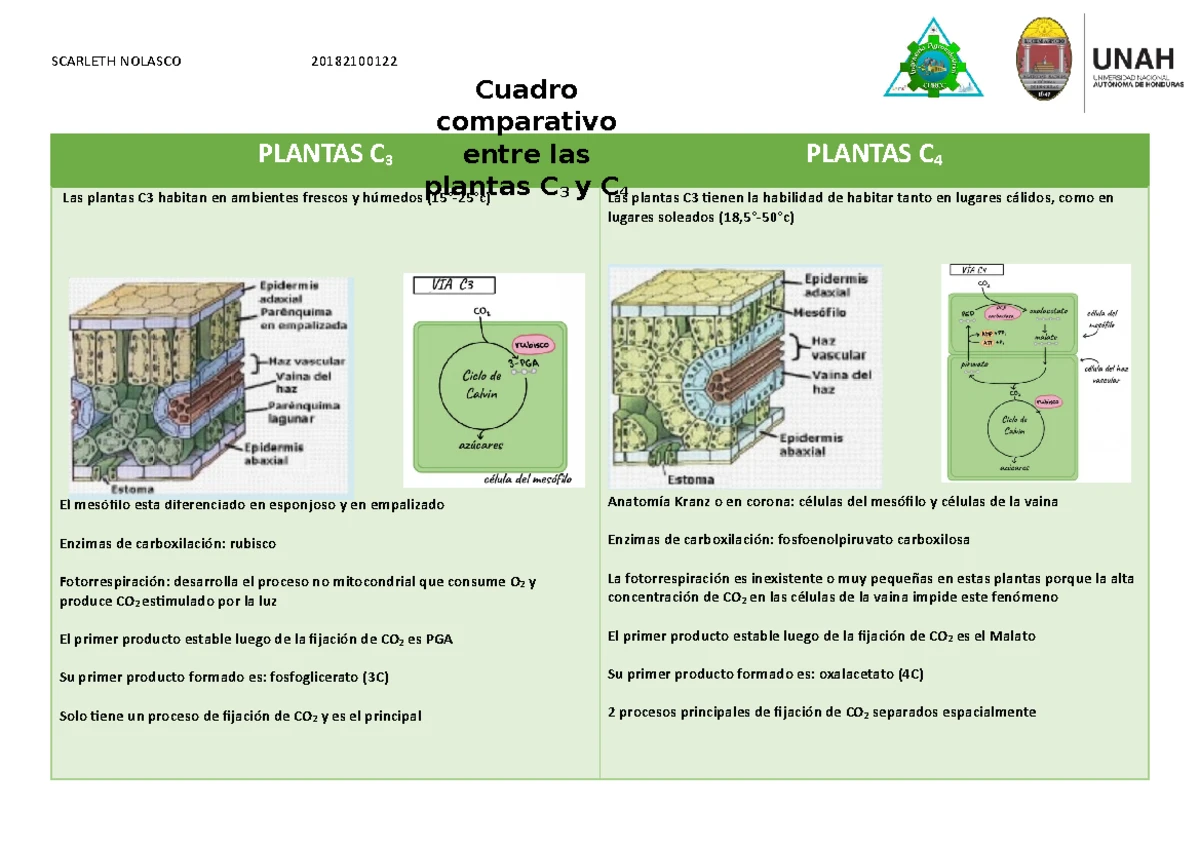 Carga Fabril: Definición, Tipos y Métodos de Cálculo EXPO - Studocu