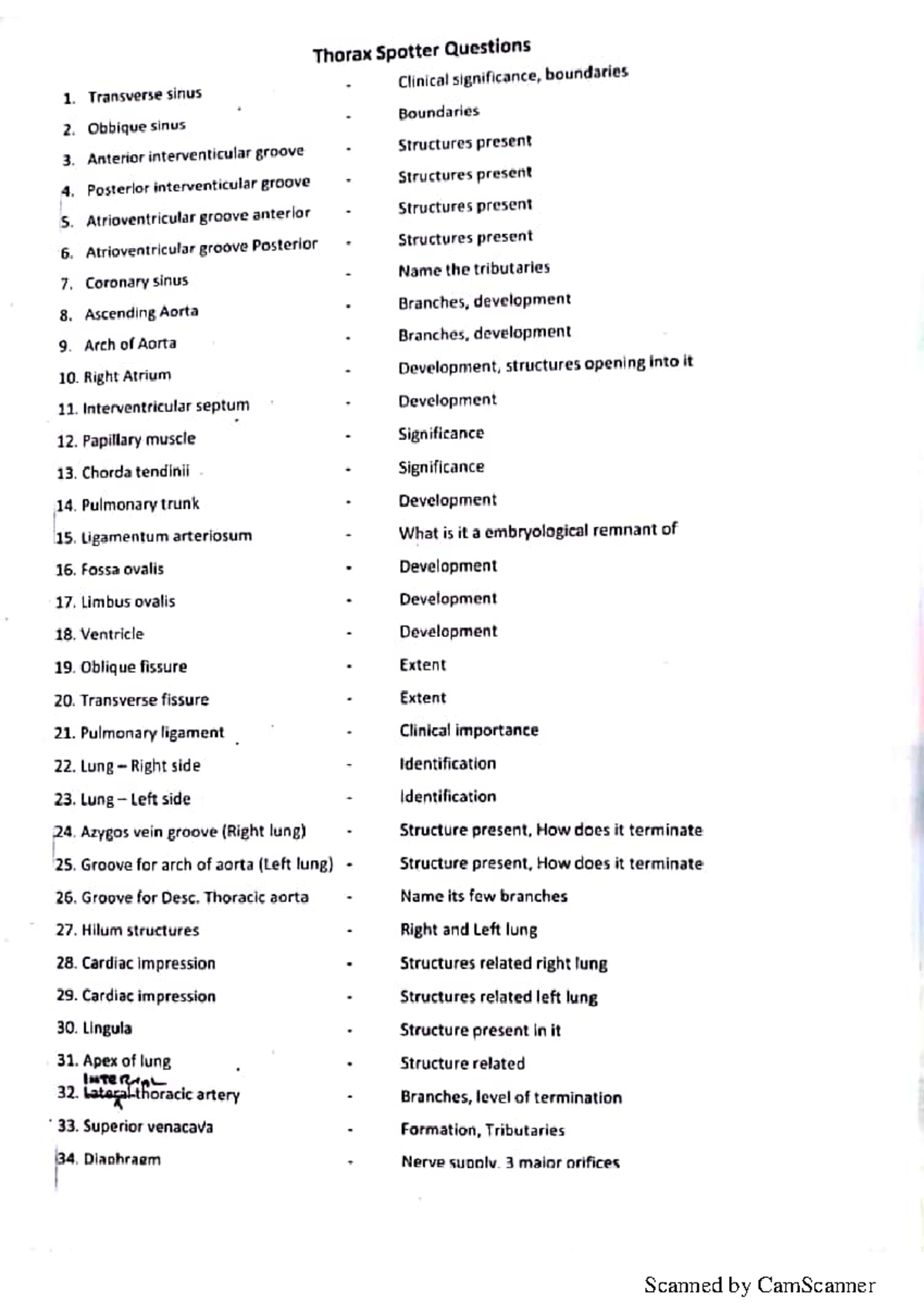 Thorax Spotter Questions & Answers: Clinical Significance & Structures ...