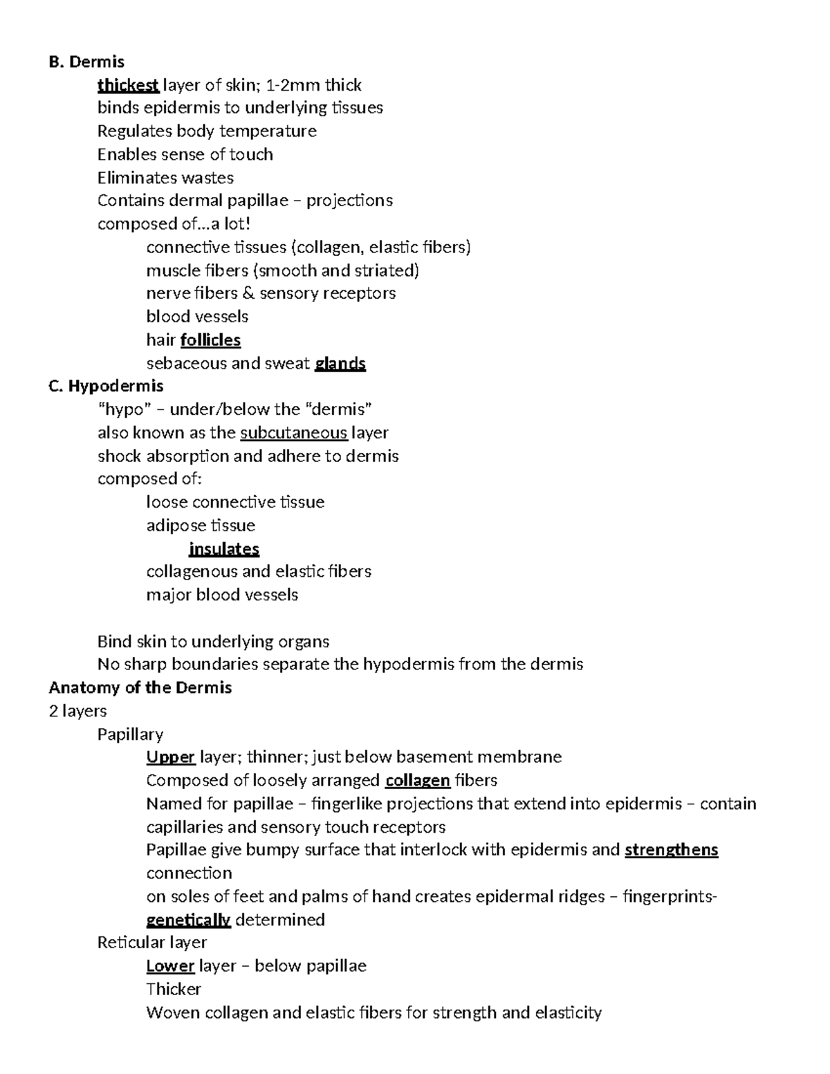Integumentary System Notes (2025) - Day 2 Overview of Skin Layers - Studocu