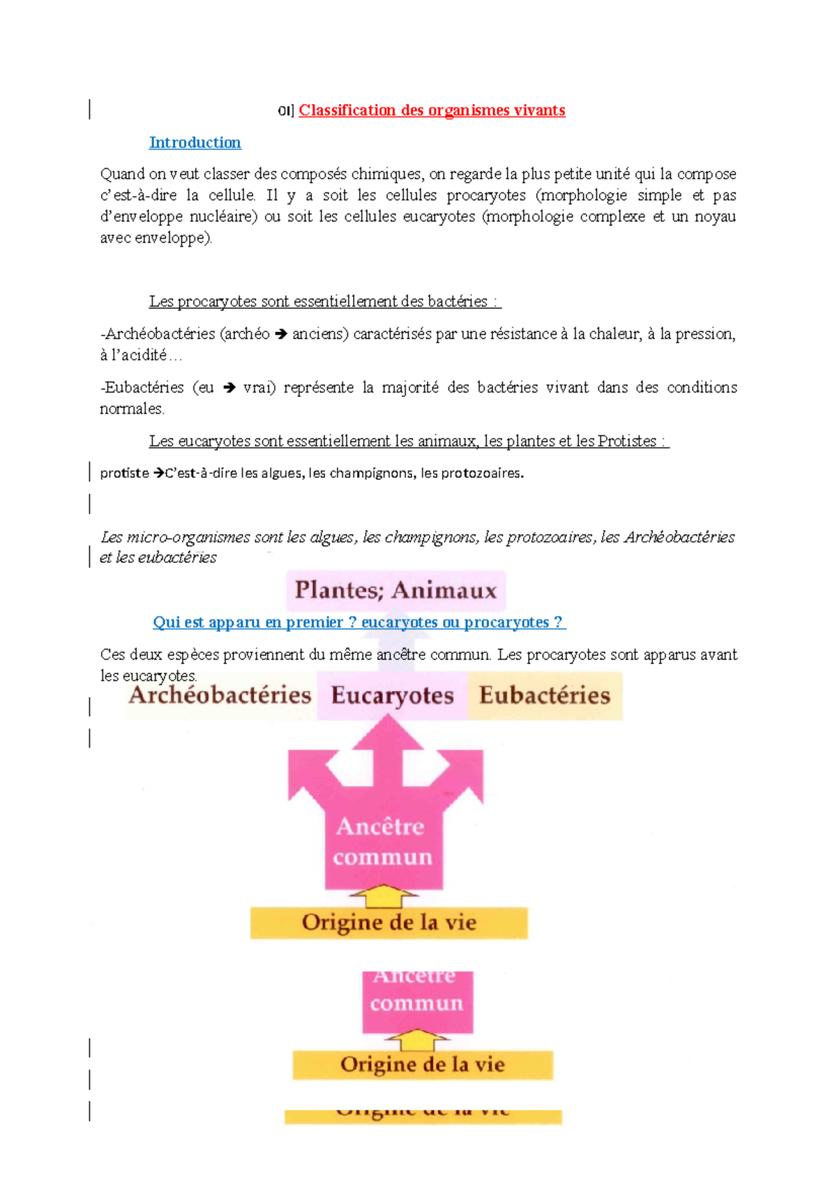 Classification des Organismes Vivants : Cours Complet sur les ...