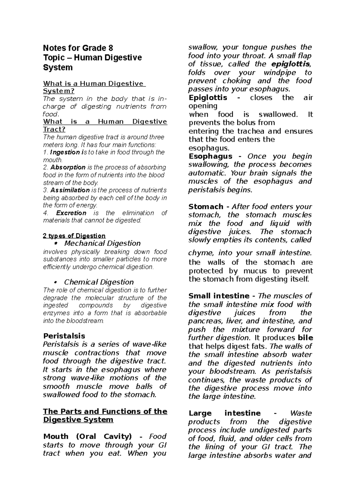 Grade 8 Notes: Human Digestive System Overview - Studocu