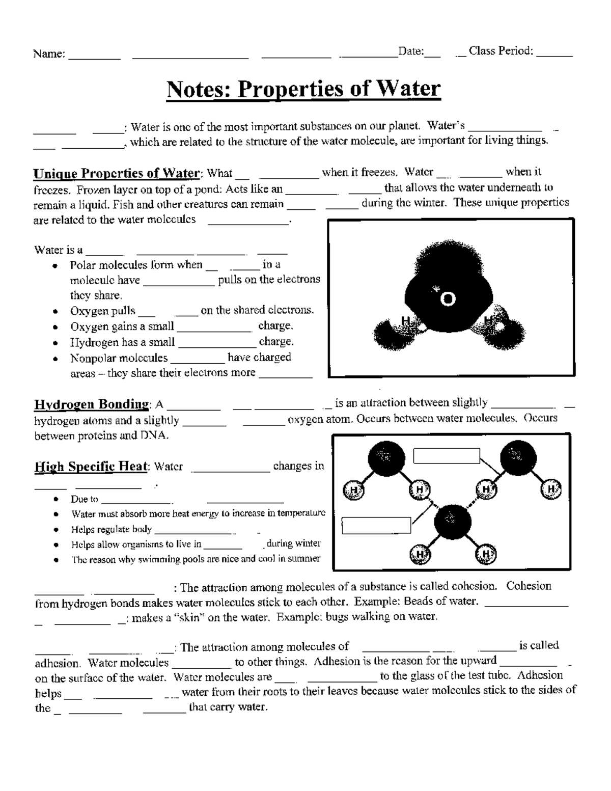 Biology 101: Guided Notes on Properties of Water - Studocu