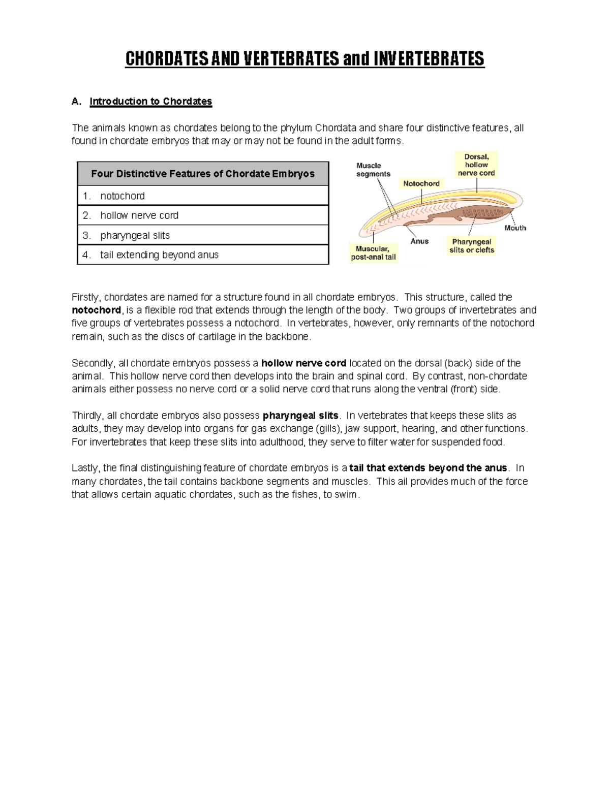 BIO101: Chordates & Invertebrates - Overview of Features & Taxonomy ...