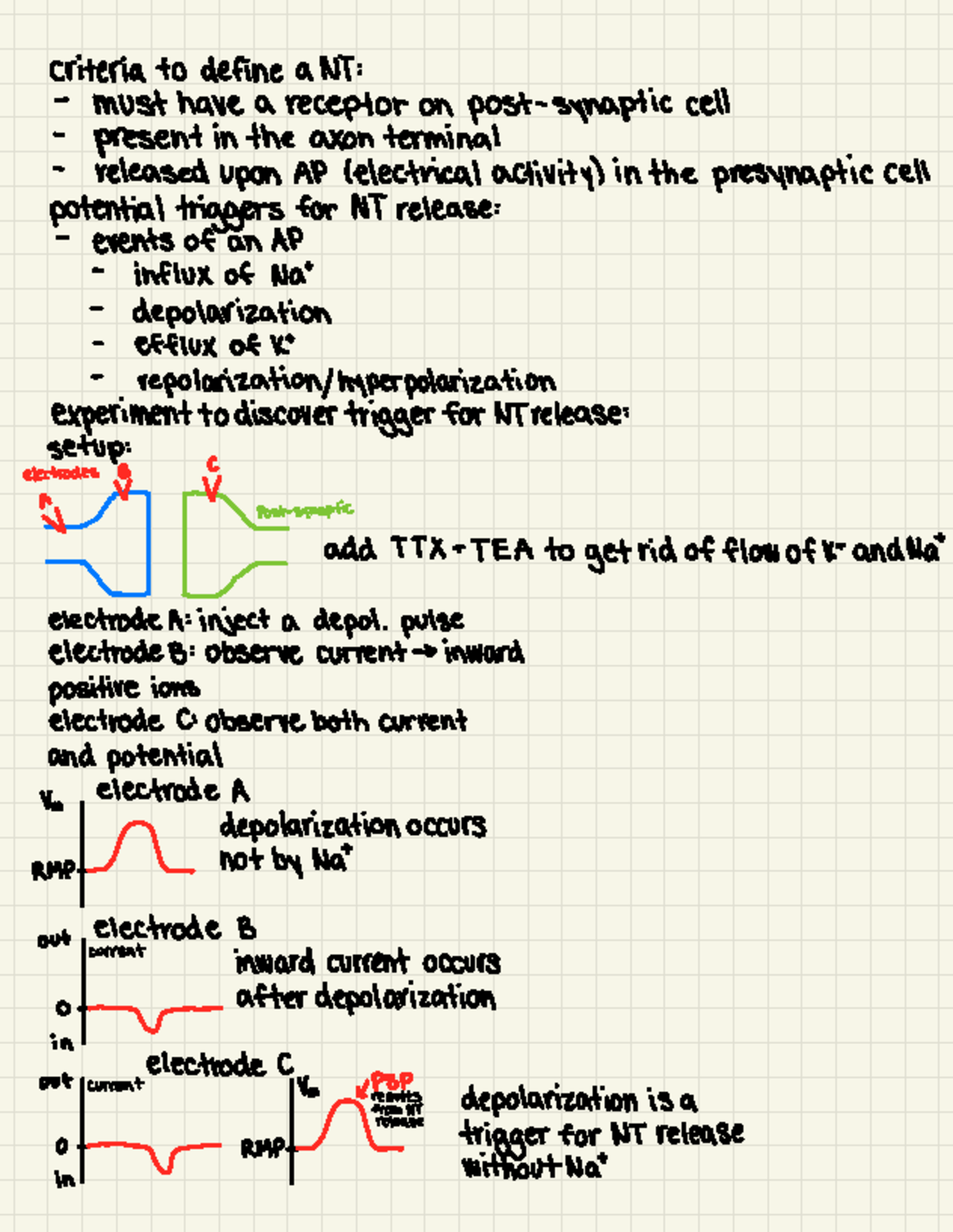 Neurotransmitter Release Mechanisms: An Experimental Approach ...