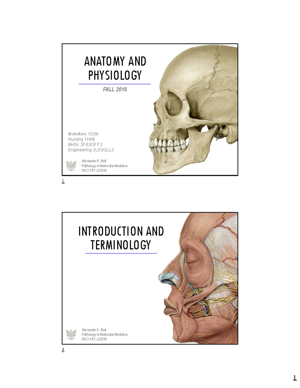 Anatomy and Physiology Introduction: Key Concepts for BHSc & Nursing ...
