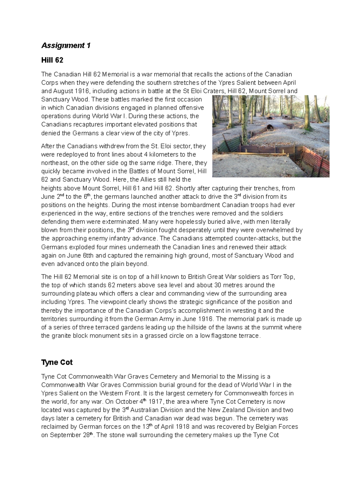 Ypres in WWI: Assignment 1 & 2 Insights on Battles and Memorials ...